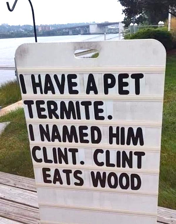 Cheesy Memes Funny Morning Work Sucks Photos New Best Captions 2024