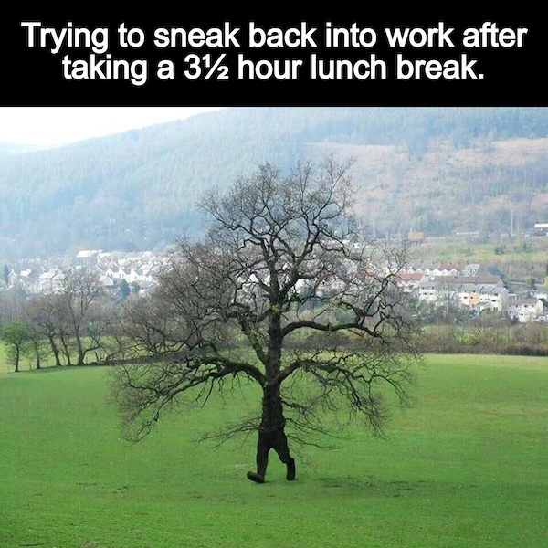 Cheesy Memes Funny Morning Work Sucks Photos New Best Captions 2024