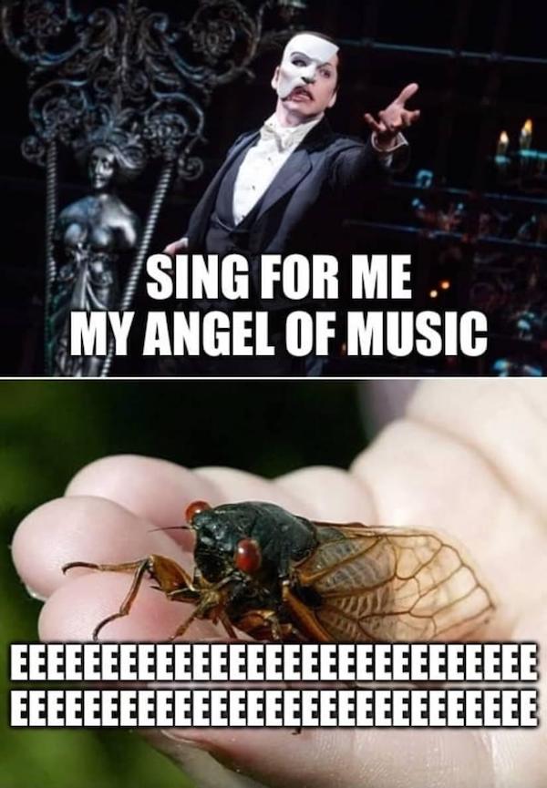 Cheesy Memes Funny Morning Work Sucks Photos New Best Captions 2024