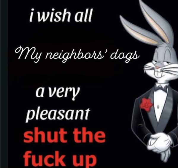 Cheesy Memes Funny Morning Friday Fun Photo Captions Best Picture 2024