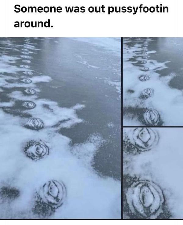 Cheesy Memes Funny Morning Friday Fun Photo Captions Best Picture 2024