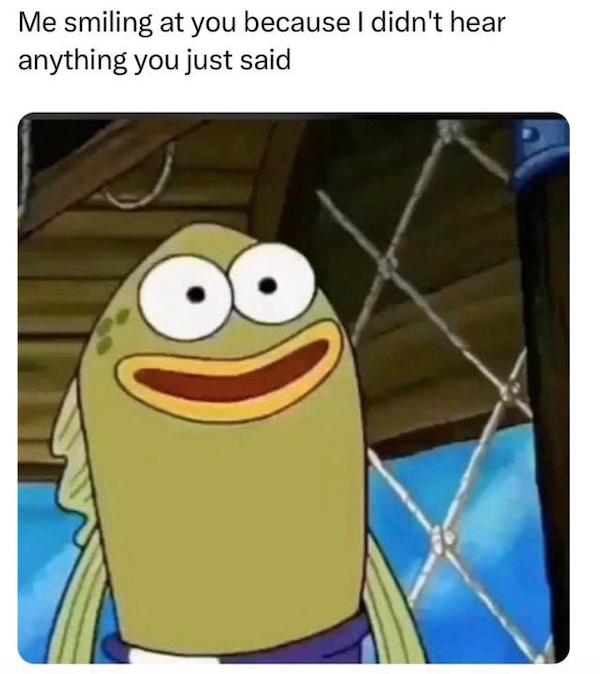 Cheesy Memes Funny Morning Friday Fun Photo Captions Best Picture 2024