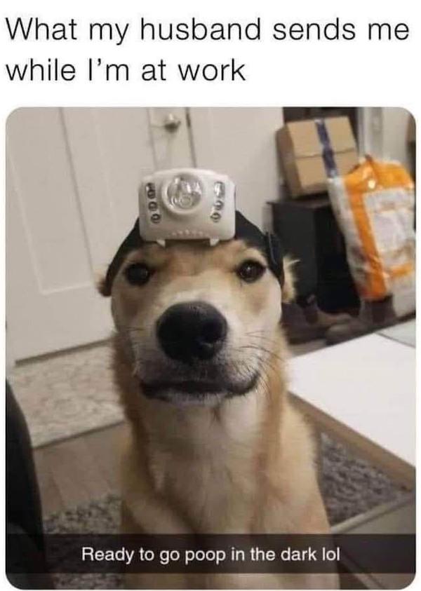 Cheesy Memes Funny Morning Friday Fun Photo Captions Best Picture 2024