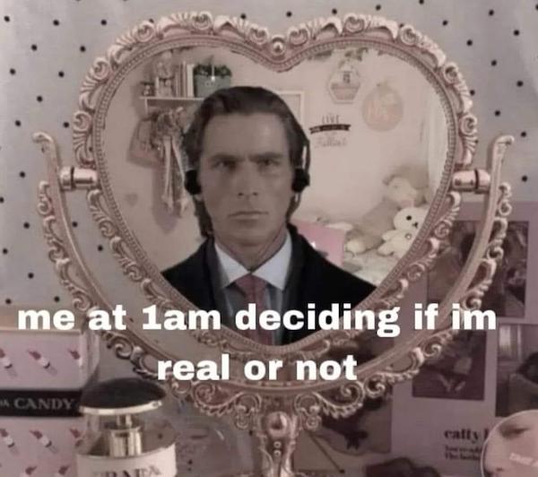 Logic-LESS Memes for Dumb Wisdom yet Funny True Photo Caption Pictures