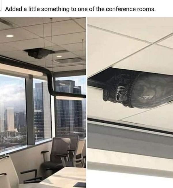 Logic-LESS Memes for Dumb Wisdom yet Funny True Photo Caption Pictures