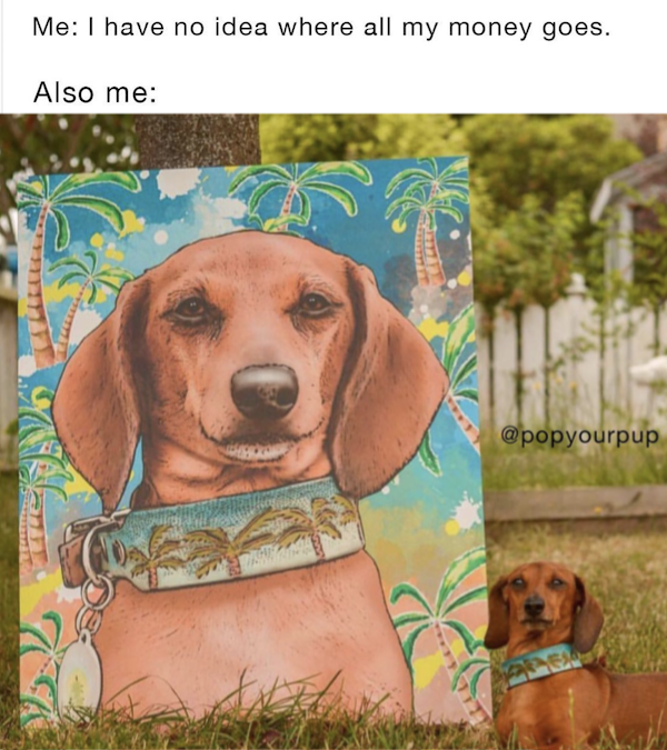 Mind-LESS Memes Afternoon Best Stupid Funny Logic Photo Captions