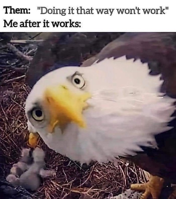 Mind-LESS Memes Afternoon Best Stupid Funny Logic Photo Captions