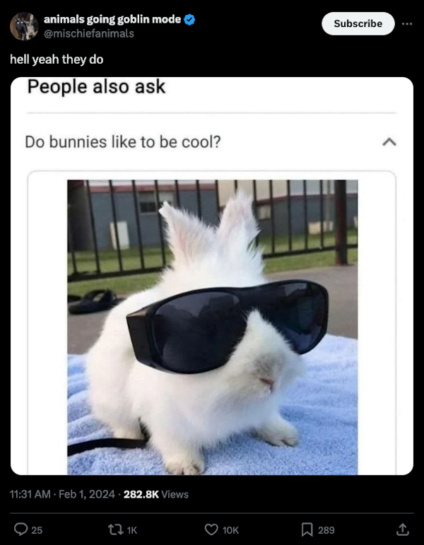 Mischievous animals no owner could stay mad at