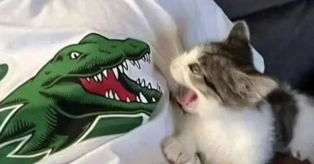 Mischievous animals no owner could stay mad at