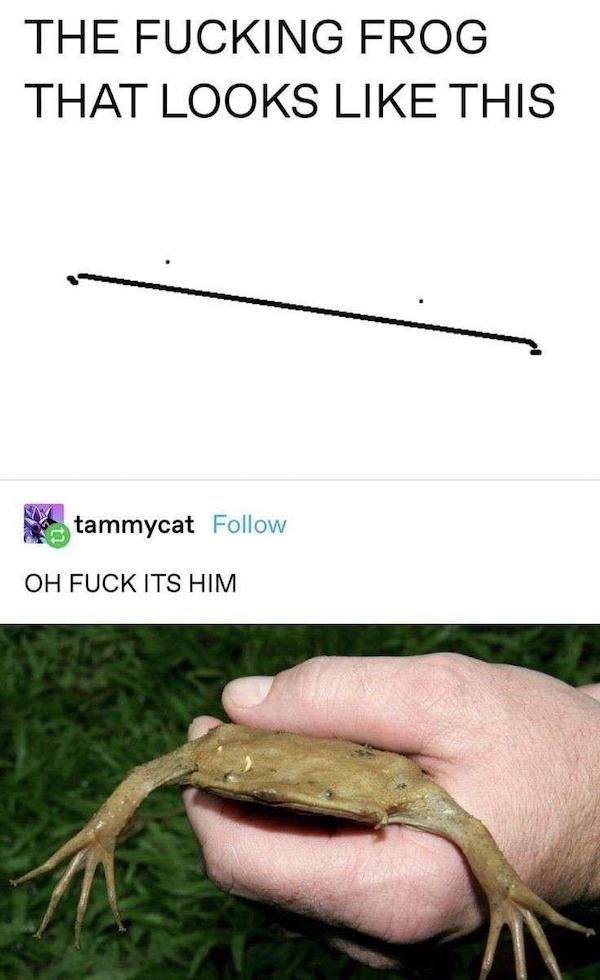 GIFs Strange and Funny WTF Memes Crazy Compilation Randomness