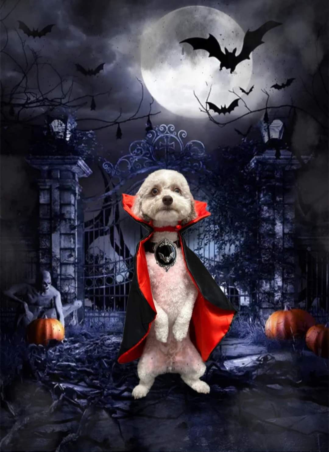 Who Let the Dogs Out?