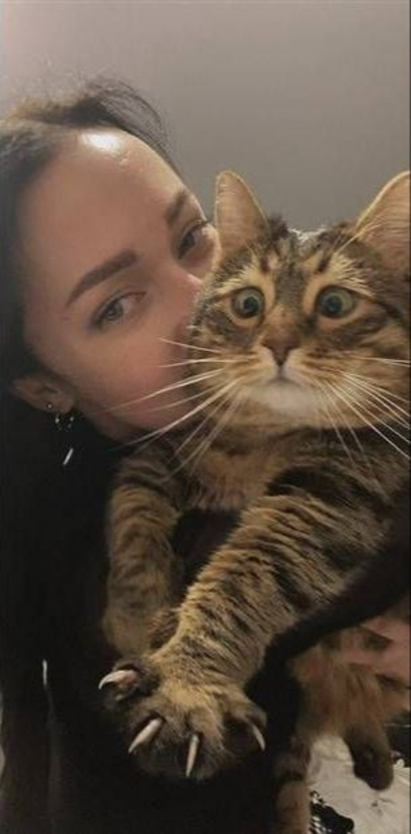 The Cats Are in Charge Today