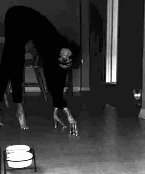 Creepy: That’s the Word That Comes To Mind