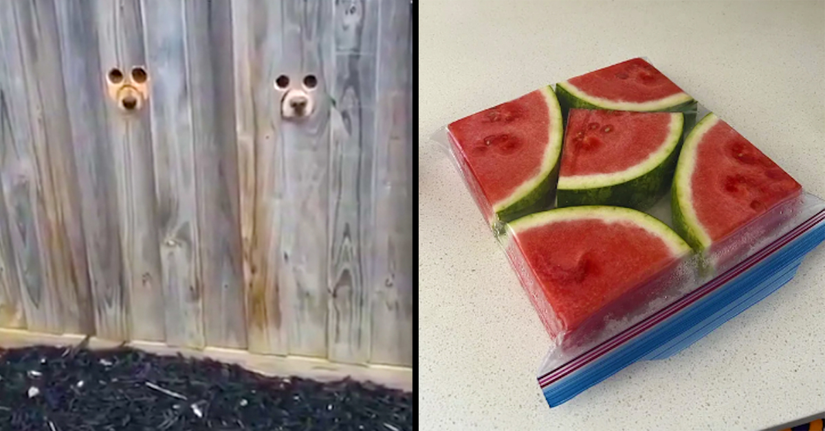 Perfect and satisfying pics that make us feel nice and cozy