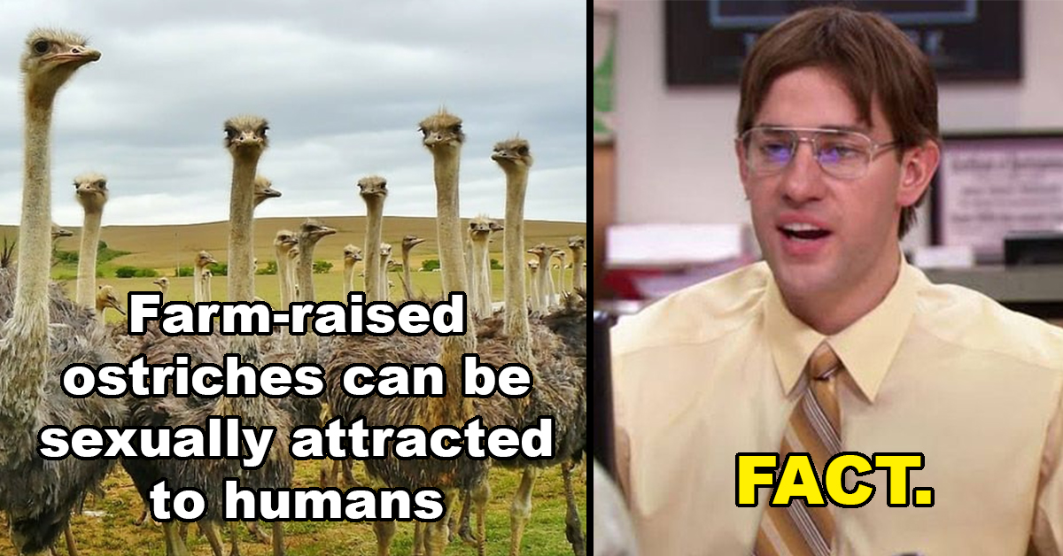 Obscure animal facts we didn't know until now