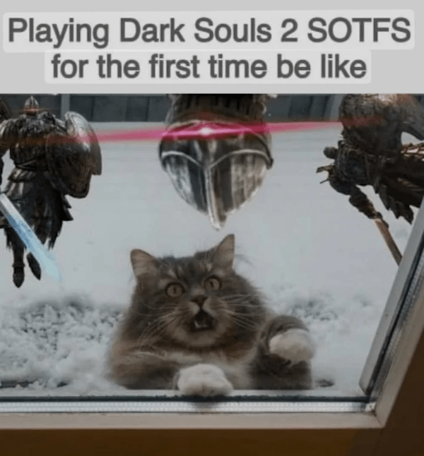 Gaming lore and logic memes that had us cracking up