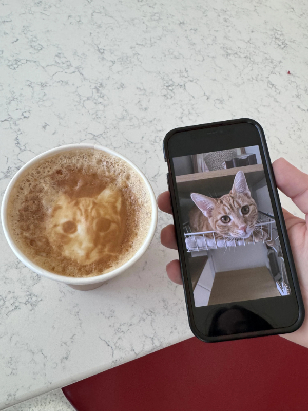 Your Weekly Dose of Awesome