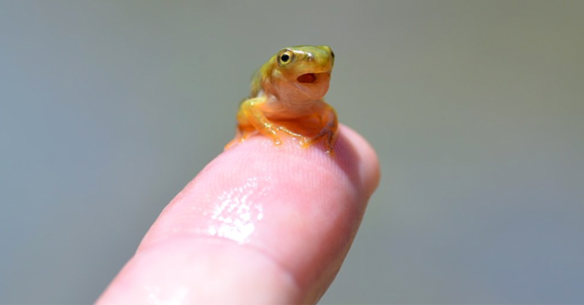 DAR: Daily Afternoon Randomness - Cool Pics :theCHIVE