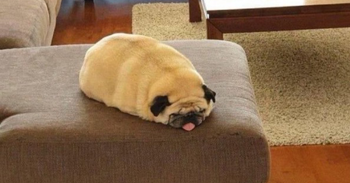 DAR: Daily Afternoon Randomness - Cool Pics :theCHIVE