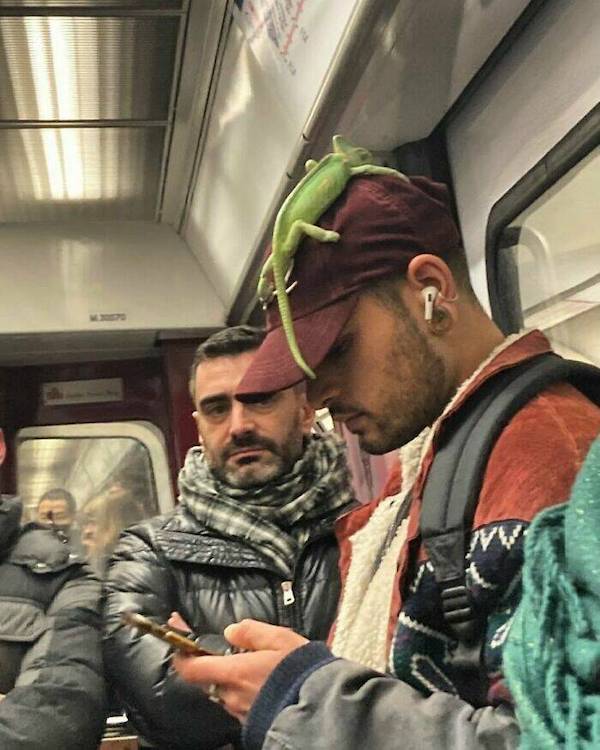 Hilarious bizarre images found on or near the subway transit
