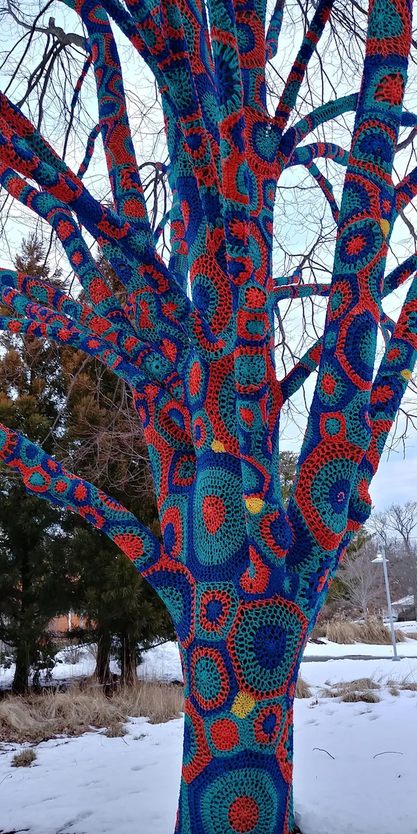 Incredibly gifted people showing off their skills