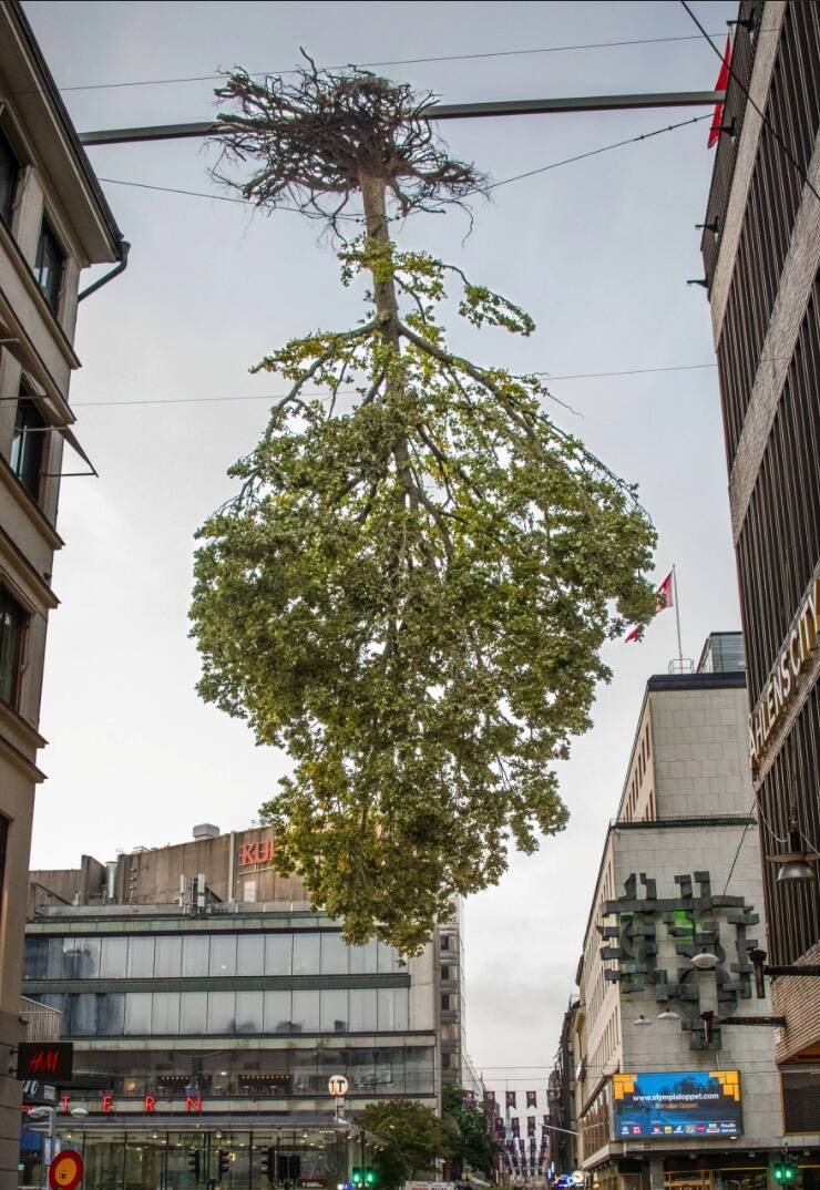 None of these pictures make any rational sense