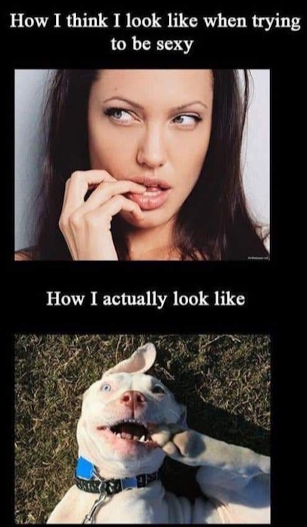 Logic-LESS Memes are Stupid yet Funny in a WTF way for Almost Friday