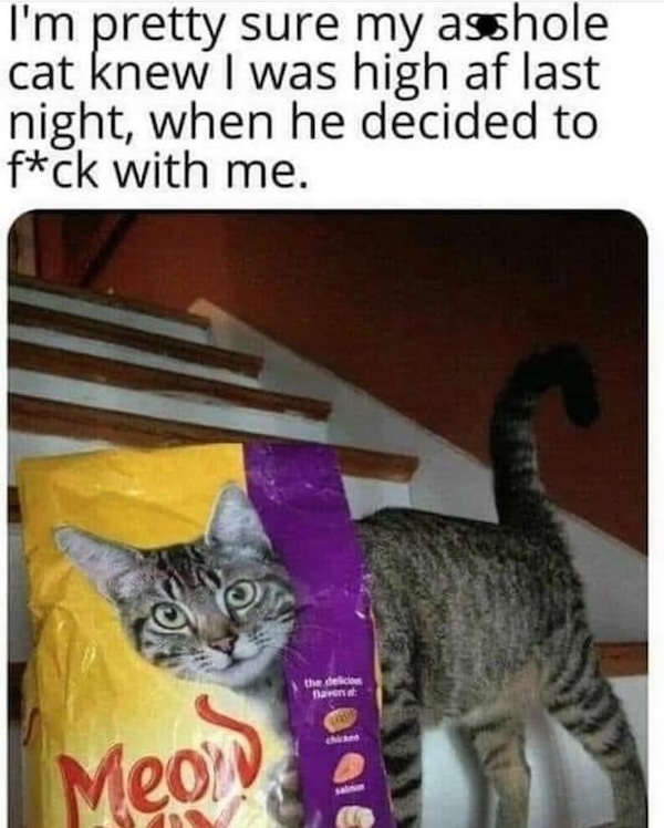 Animals + Memes = A great way to close out the week