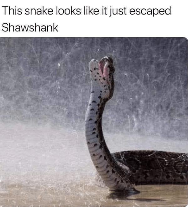 CHEESY morning “Tuesday SUCKS” memes (44 Photos)