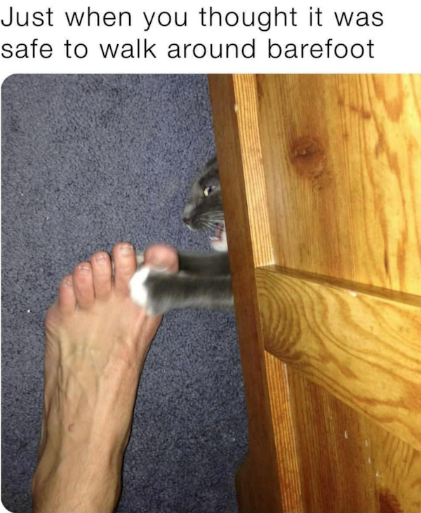 CHEESY morning “Tuesday SUCKS” memes (44 Photos)