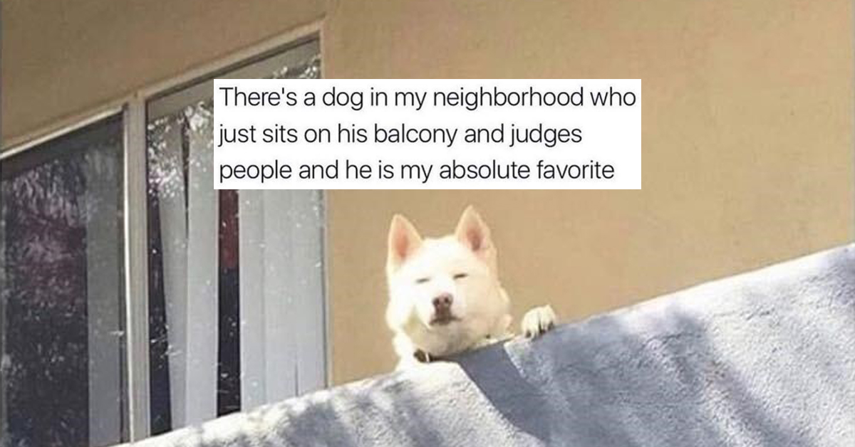 Funny Memes | The Funniest and Most Hilarious Memes Ever - theCHIVE