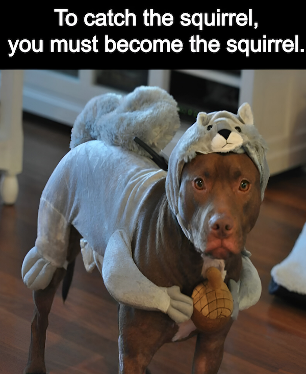 Logic-LESS Memes of Stupid yet Funny Wis-Dumb Photo Captions New 2024