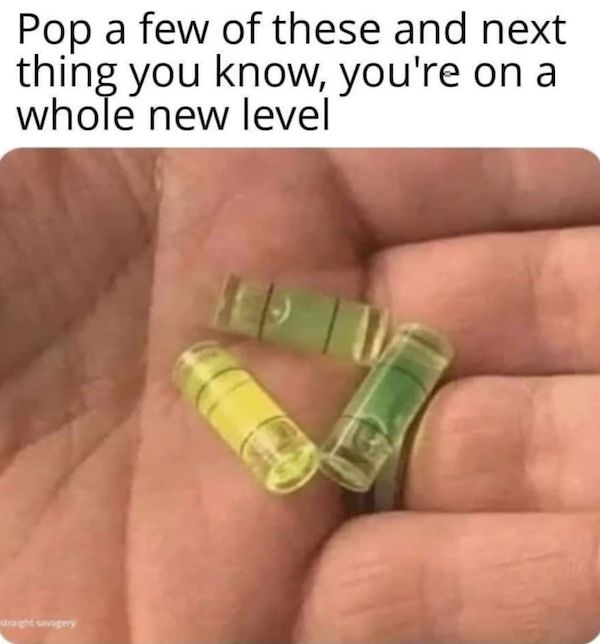 Logic-LESS Memes of Stupid yet Funny Wis-Dumb Photo Captions New 2024