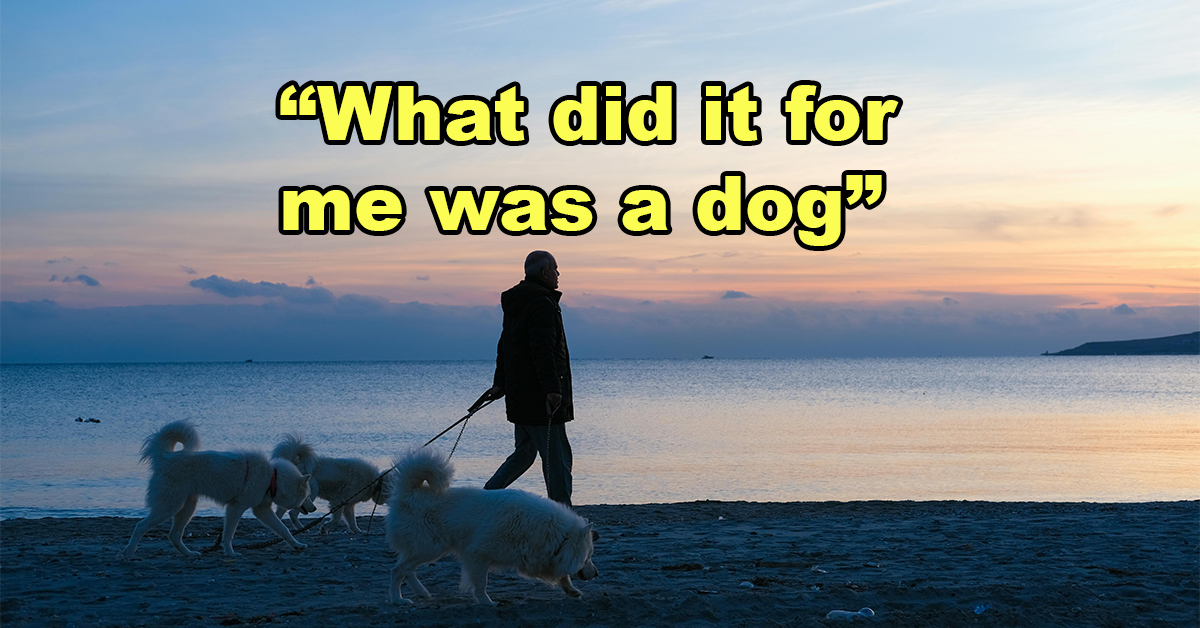 Awesome Photos | Daily Awesome Videos & Awesome GIFs - theCHIVE