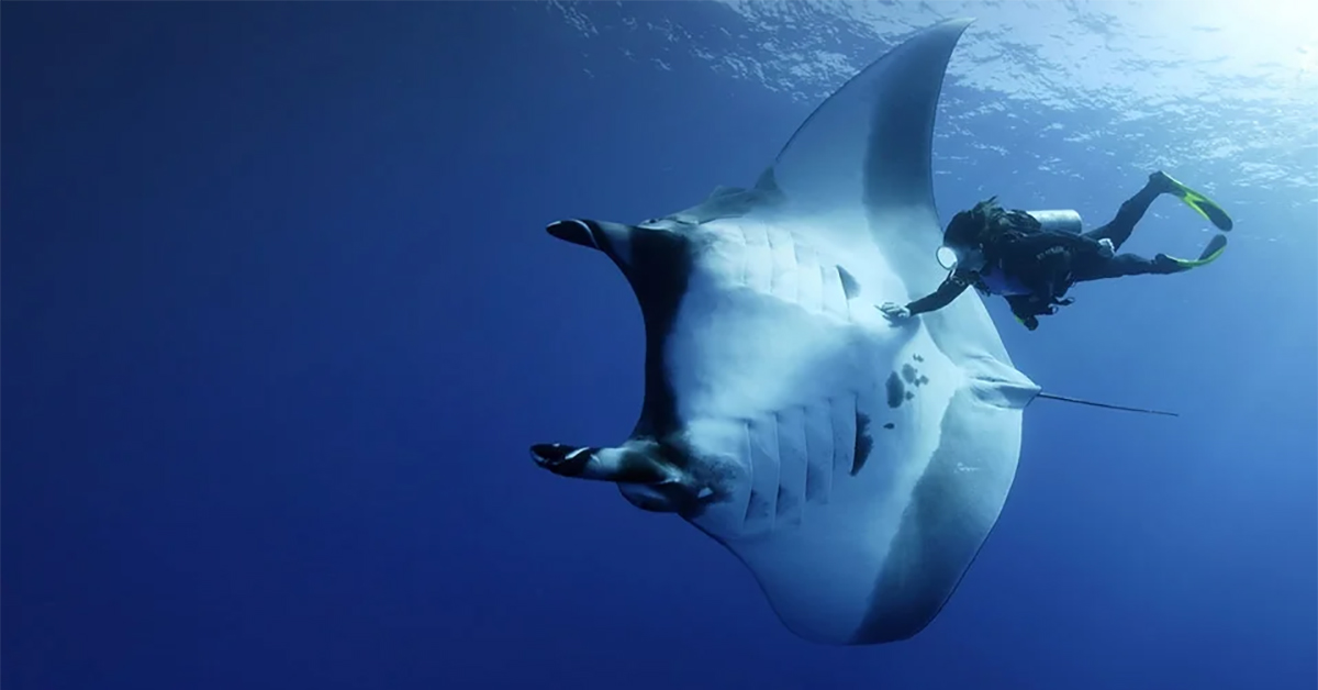 Awesome Photos | Daily Awesome Videos & Awesome GIFs - theCHIVE