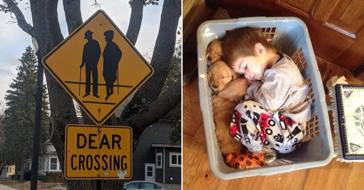 Beautiful Pictures | Pretty Pics - theCHIVE