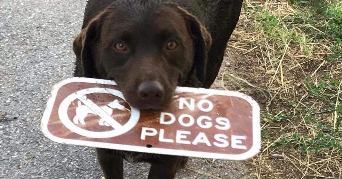 DAR: Daily Afternoon Randomness - Cool Pics :theCHIVE