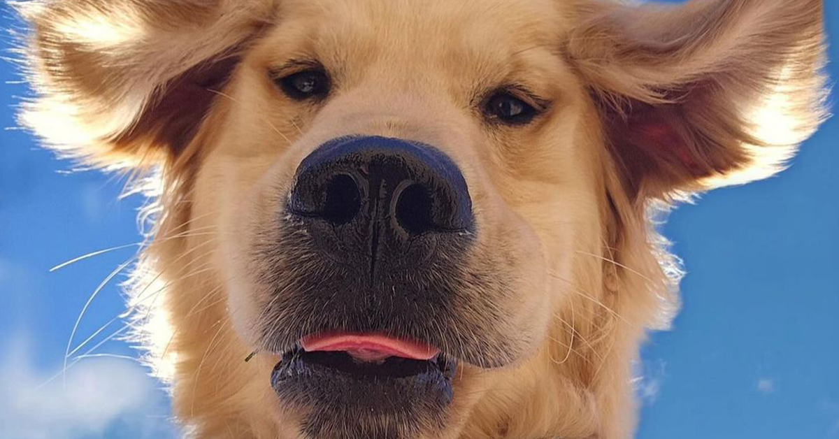 DAR: Daily Afternoon Randomness - Cool Pics :theCHIVE