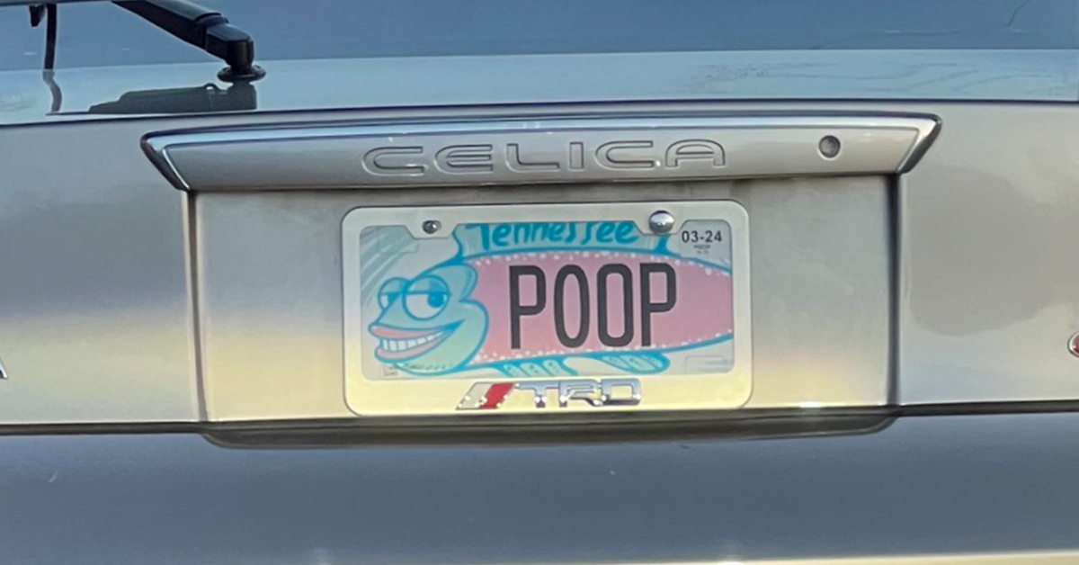 DAR: Daily Afternoon Randomness - Cool Pics :theCHIVE