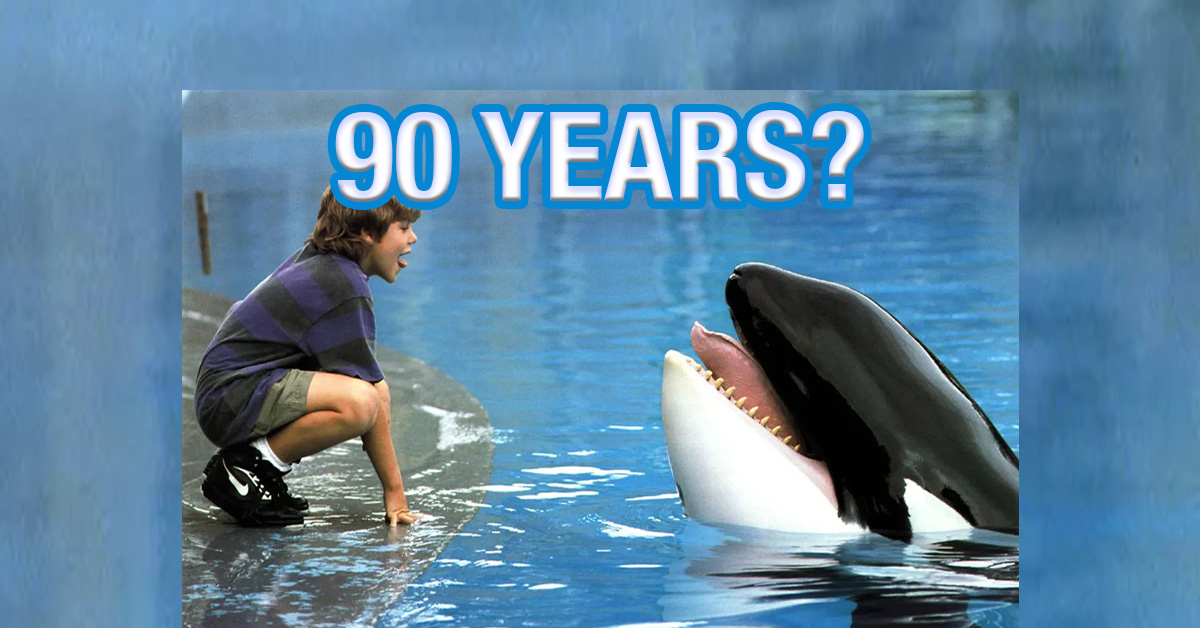 Wild life spans in the animal kingdom