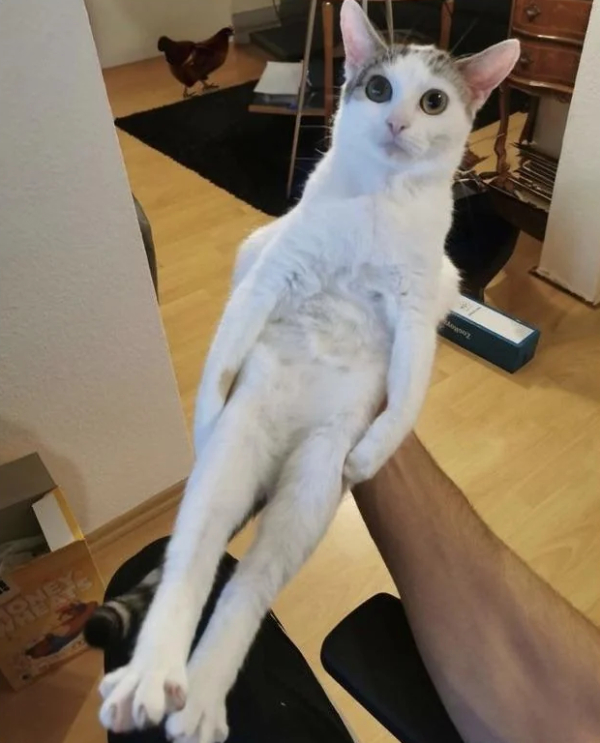 Hmmm... Time To Go Outside