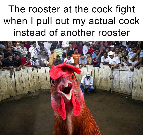 Dank Memes Are Taking Over