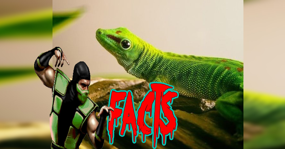 Funny Animal Pictures | Funny Pet Videos - theCHIVE