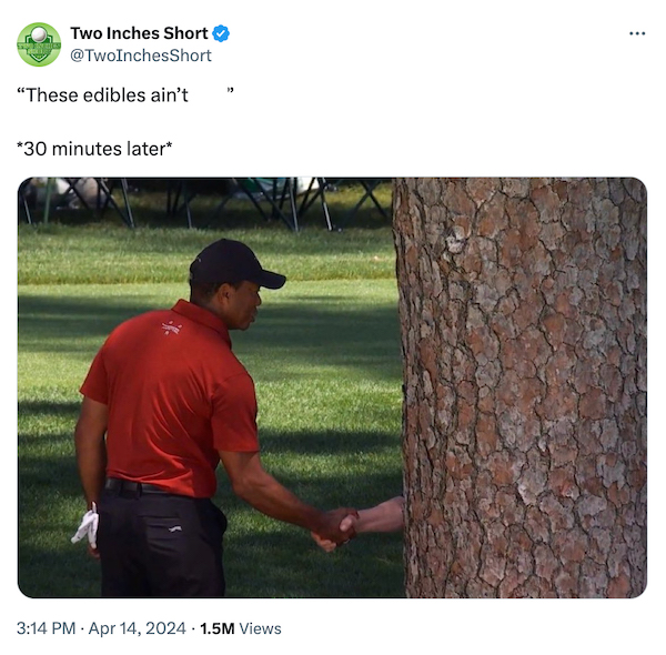 Dirty memes and irreverent humor ahead