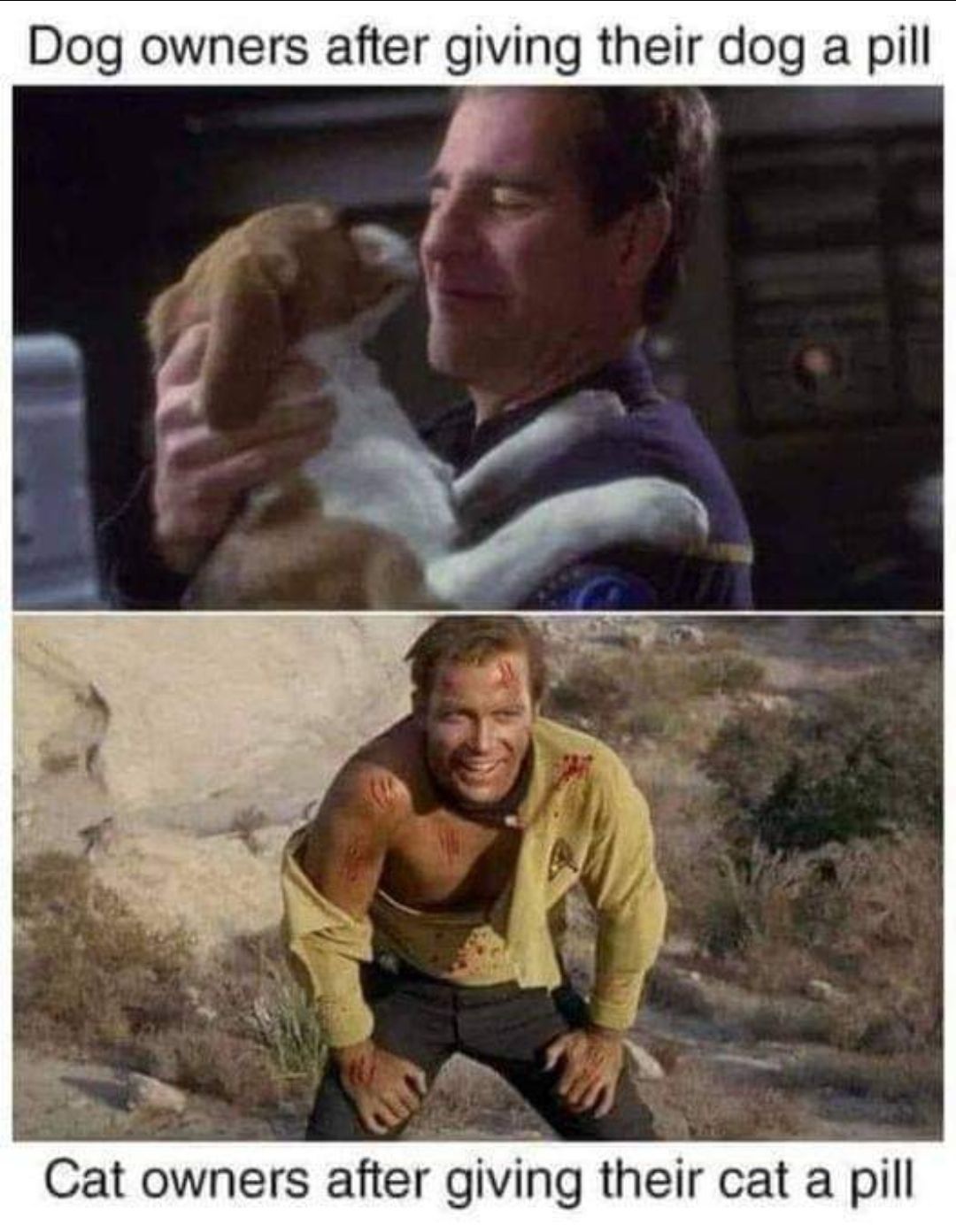 Dogs Rule the World