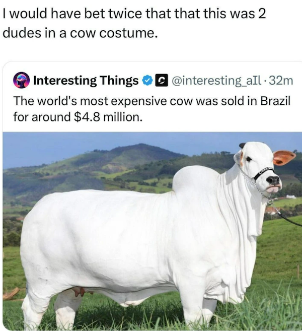Cheesy Memes Funny Monday Work Sucks Photo Captions Best New List 2024