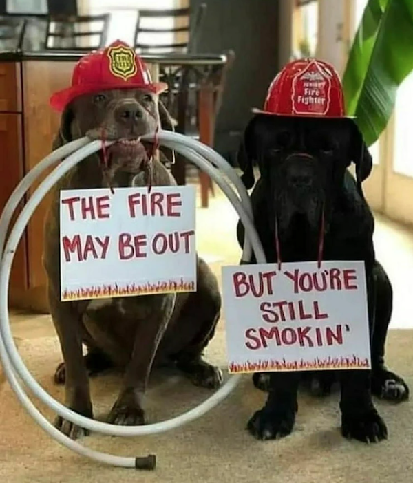 Cheesy Memes Funny Monday Work Sucks Photo Captions Best New List 2024