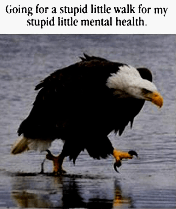 Cheesy Memes Funny Monday Work Sucks Photo Captions Best New List 2024