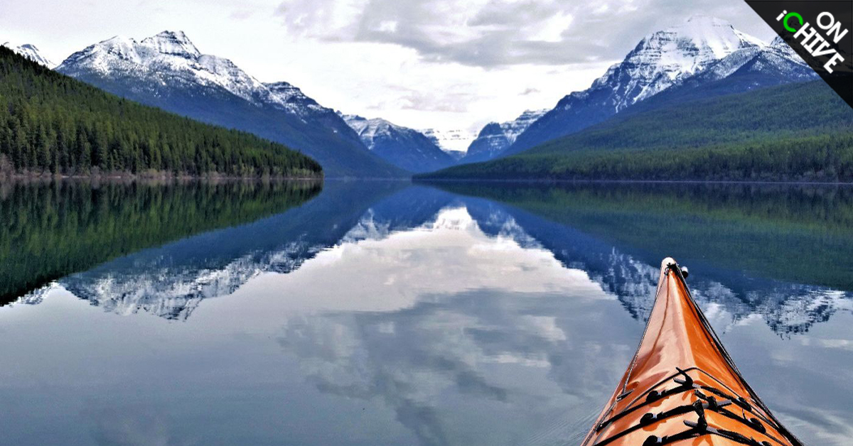 theCHIVE - Funny Pictures, Photos, Memes & Videos – theCHIVE.com