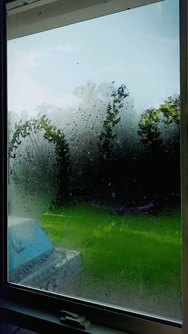 People who spied quite the view outside their window